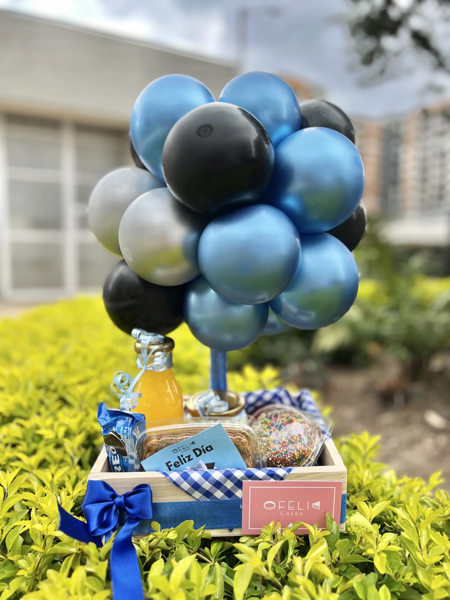 Colecciones – Ofeliacakes